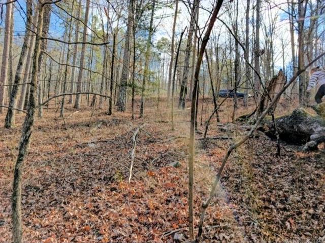 Nova Ln, Hot Springs Village, AR 71909