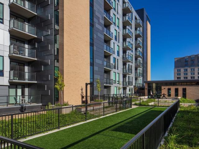 NoVo Studio Apartment for Rent at 216 S Pinckney St, Madison, WI 53703 Downtown Madison