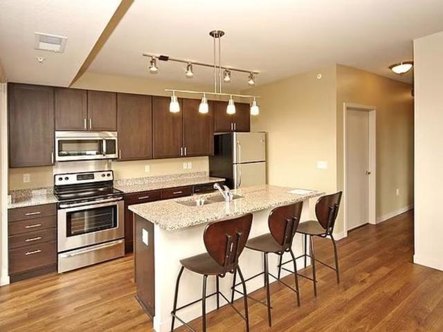 Now Leasing for September 2026 — The Elysian: Dinkytown’s Most Desired Address! 2 Bedroom Apartment for Rent at 711 4th St Se, Minneapolis, MN 55414 Marcy Holmes