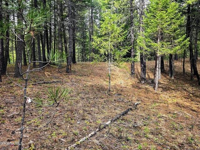 Nla Dusty Ln, Naples, ID 83847