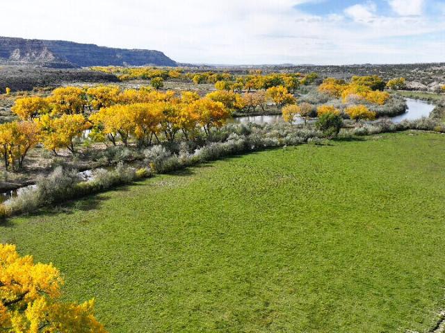 NM 173