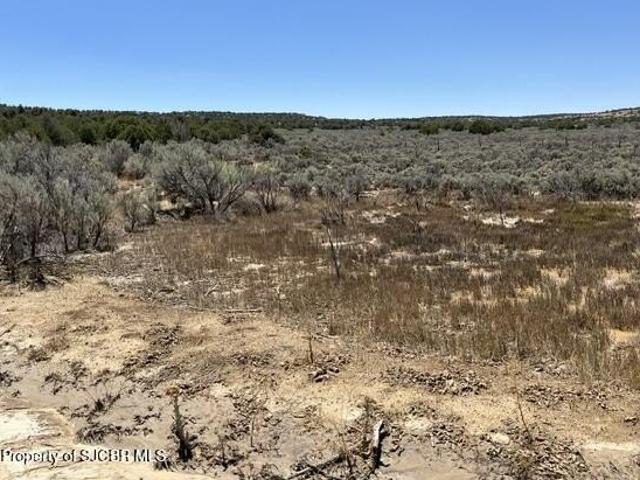 Nm 173, Navajo Dam, NM 87419