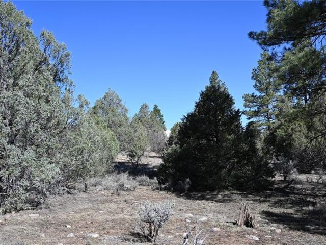 Nm Sr 64, Tierra Amarilla, NM 87575