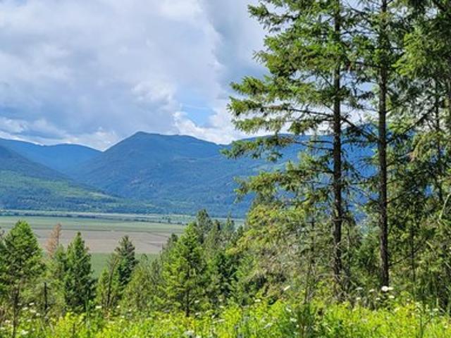 Nna Continental Lane Parcel 3, Bonners Ferry, ID 83805