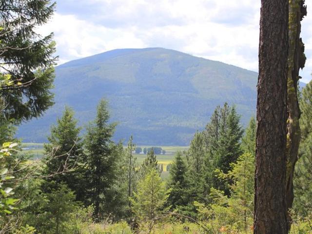 Nna Continental Lane Parcel 3, Bonners Ferry, ID 83805