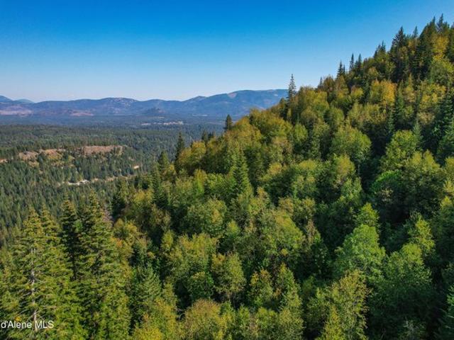 Nna Bodie Canyon Rd, Priest River, ID 83856