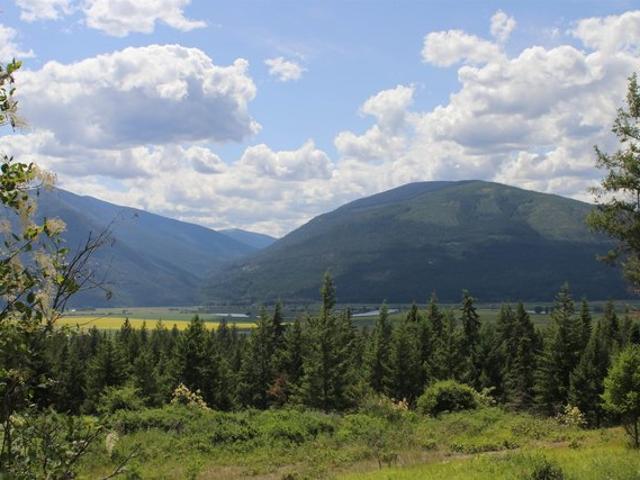 Nna Bootlegger Lane Stein Mtn, Bonners Ferry, ID 83805