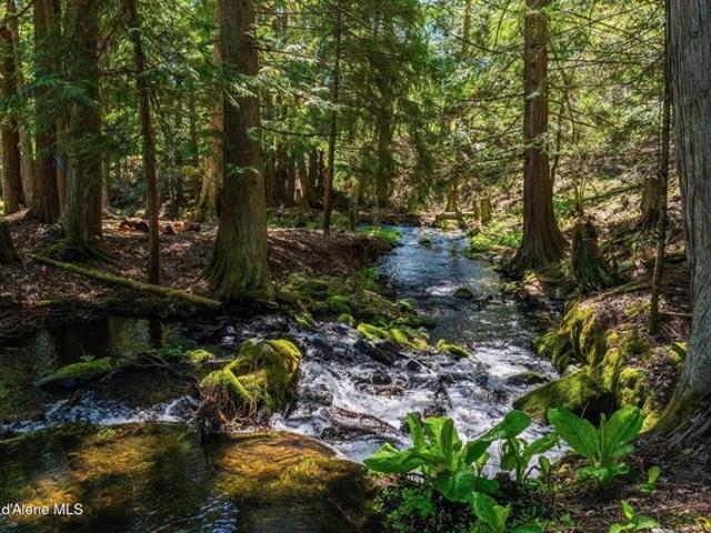 Nna Garfield Bay Rd, Sagle, ID 83860