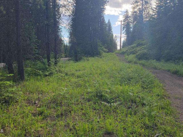 Nna Gleason Mcabee Falls Rd, Priest River, ID 83856 | MLS #24 7196 | Compass