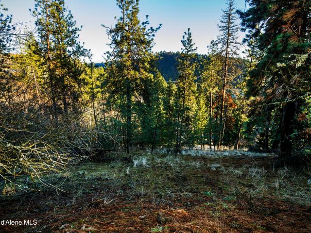 Nna E Fernan Hill Rd, Coeur D'Alene, ID 83814 | MLS #26 46
