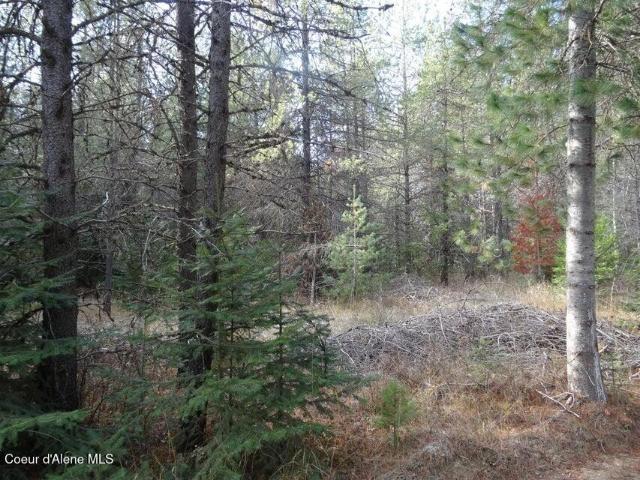 Nna Jasper Meadow Ln, Priest River, ID 83856 | MLS #26 2508
