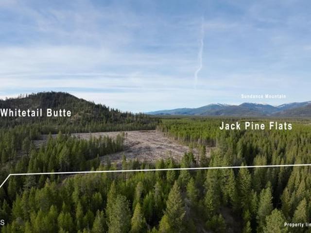 Nna Mud Gulch, Priest River, ID 83856