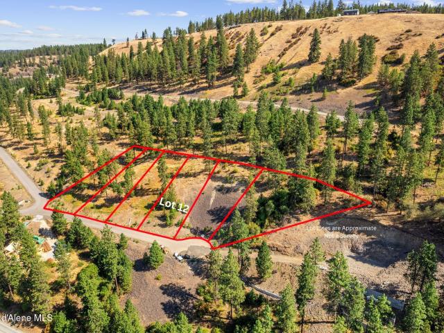 Nna S Dusk Ct, Harrison, ID 83833 | MLS #25 8793