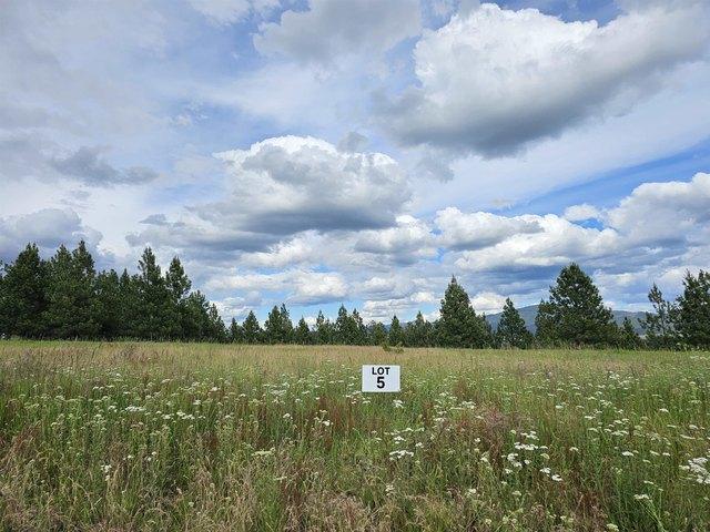 Nna S Sands Rd, Valleyford, WA 99036