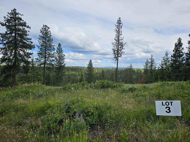 Nna S Sands Rd, Valleyford, WA 99036