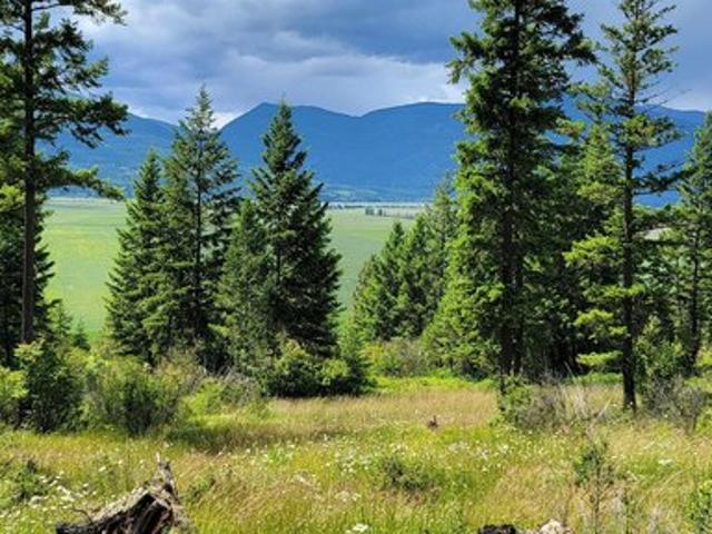 Nna Smugglers Tract Ln # F, Bonners Ferry, ID 83805