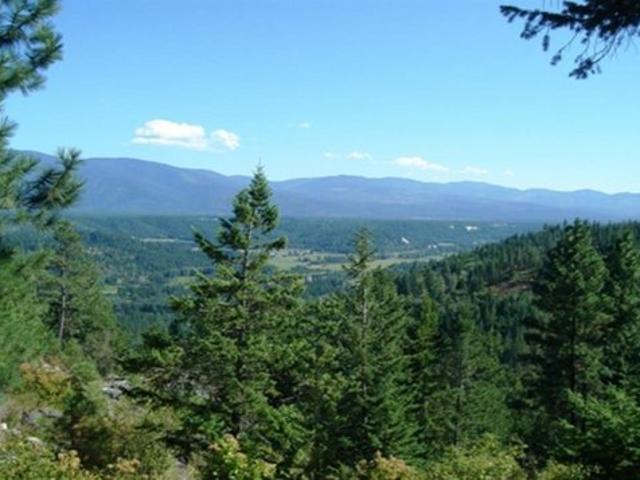Nna Snowcat Tract Ln # 4, Bonners Ferry, ID 83805