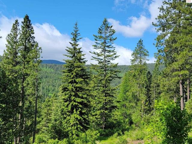 Nna Snowcat Tract Ln # 2, Bonners Ferry, ID 83805