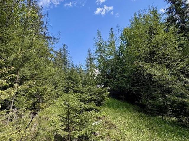 Nna Silver Reef Rd Lot 4, Sagle, ID 83860