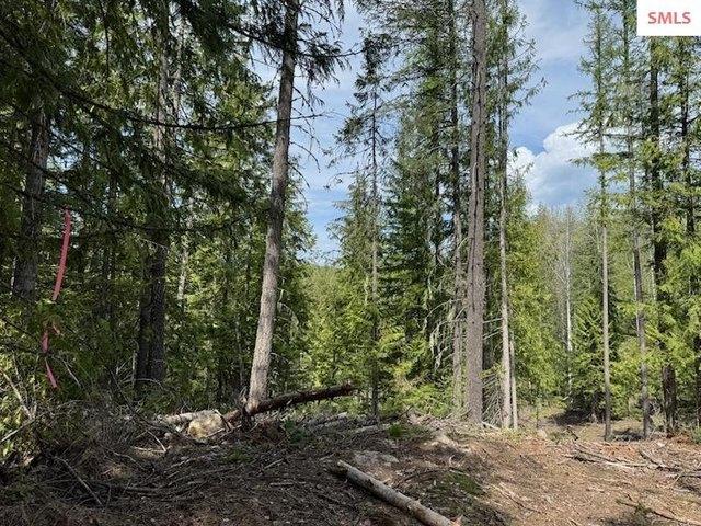 Nna Raven Rdg # 20ACRES, Sandpoint, ID 83864