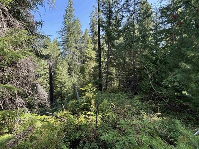 Nna Ridge Way Lot 14, Sandpoint, ID 83864