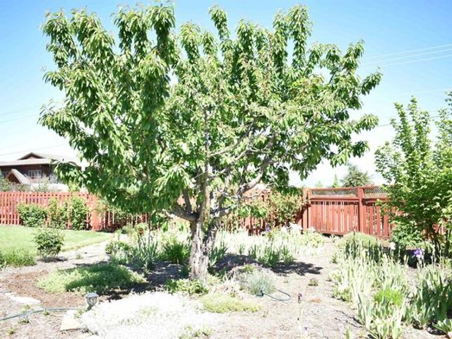 Nna Walnut, Sandpoint, ID 83864