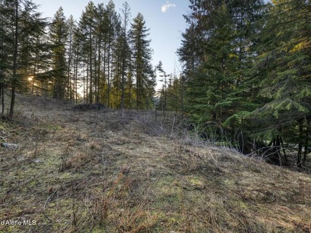 Nna White Cloud, Sandpoint, ID 83864