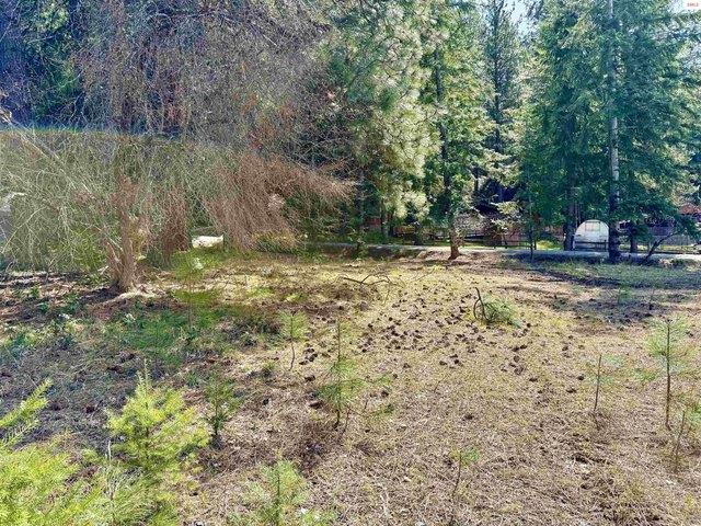 Nna Tannebaum Ln, Bonners Ferry, ID 83805
