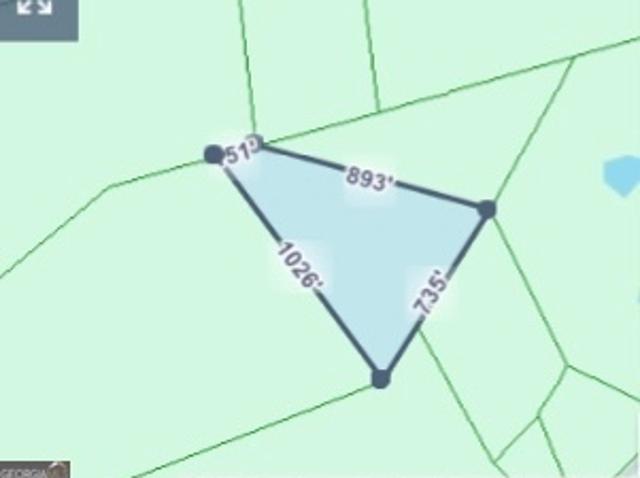N/s hwy 131 Lecounte Rd, Townsend, GA 31331 | MLS #10719