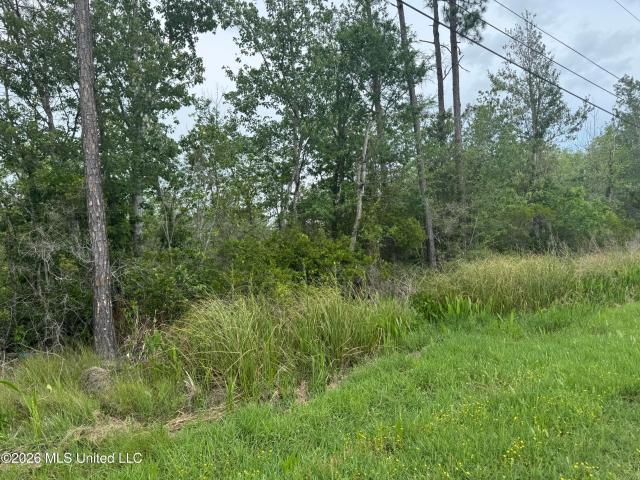 Nsn Lot 24 Piute Drive