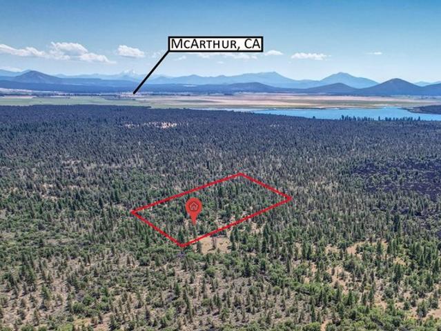 Nsa, McArthur, CA 96056