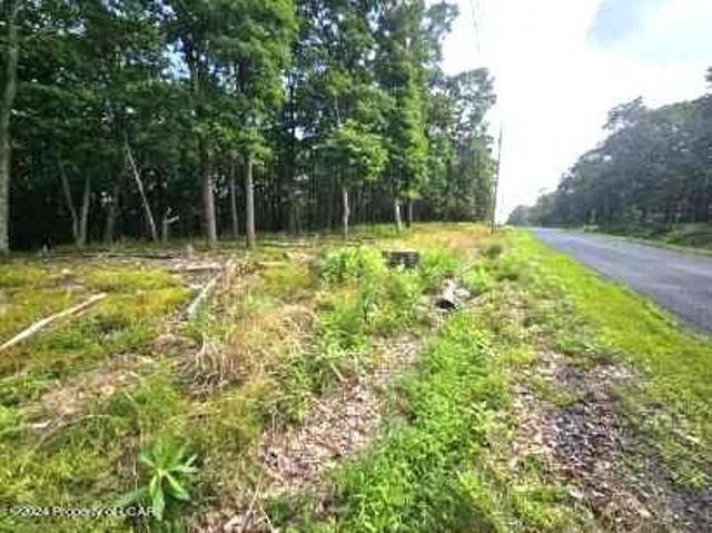 NR Lot 207 Little Bear Lane