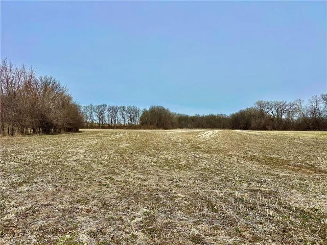 NW 401 Road