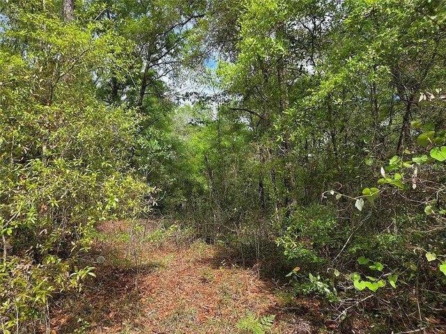 NW 56th St Lots 4 & 5, Chiefland, FL 32626