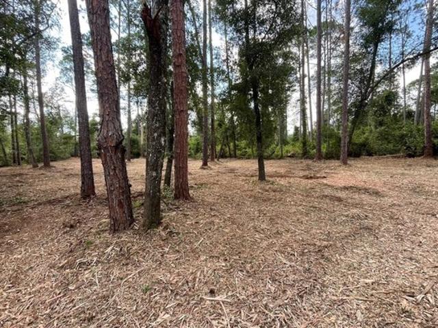NW 58th Ave, Jasper, FL 32053