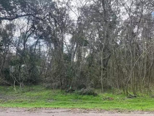 NW 65th Pl, Ocala, FL 34482 MLS OK225161
