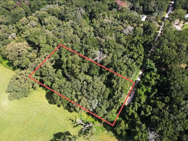 NW 73rd Ter, Trenton, FL 32693