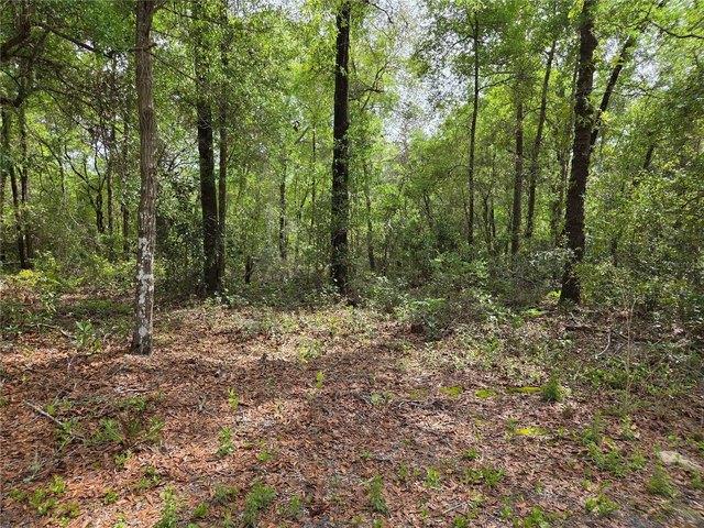 NW 97th Ct, Chiefland, FL 32626