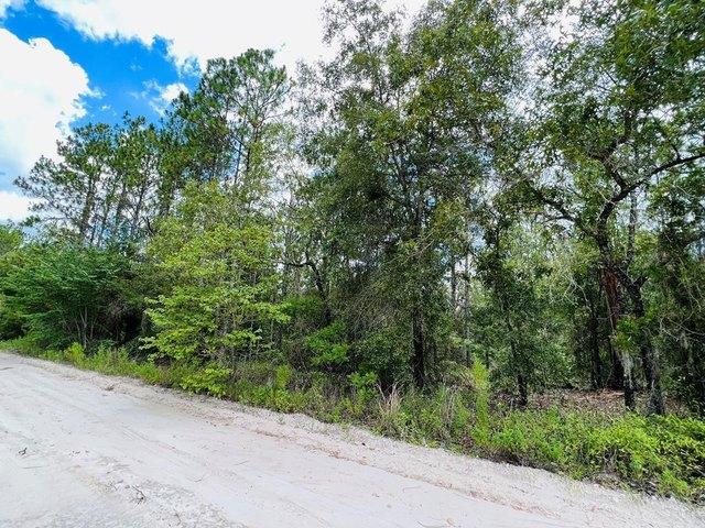 NW 116th Ave Lot 10, Bell, FL 32619