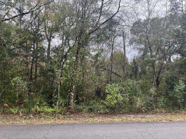 NW 17 Pl, Ocala, FL 34482