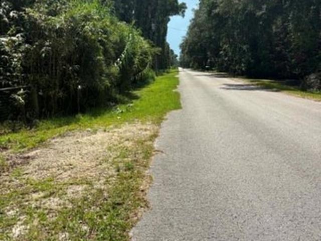 NW 166th St, Trenton, FL 32693