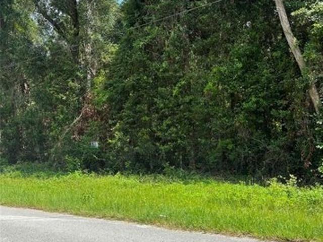 NW 166th St, Trenton, FL 32693