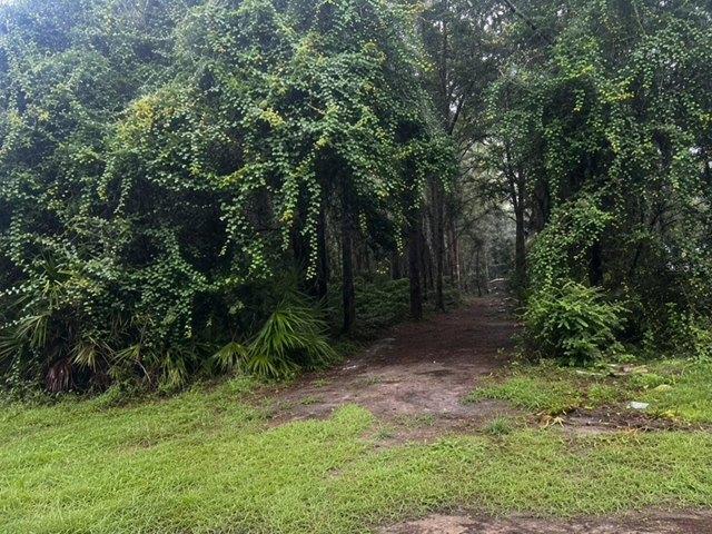 NW 167th Pl, Trenton, FL 32693