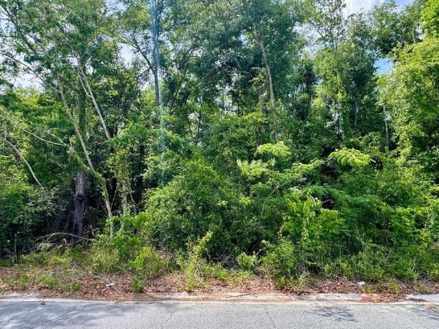 NW 16th Ave Lot 4, Jasper, FL 32052