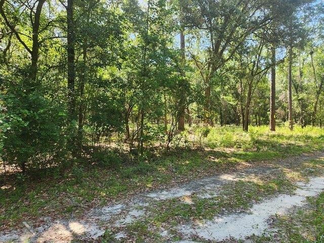 NW 23rd Ave Lot 239, Jasper, FL 32052