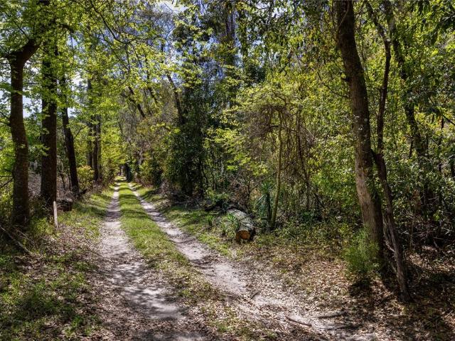 NW 253rd St, High Springs, FL 32643 | MLS #GC520265