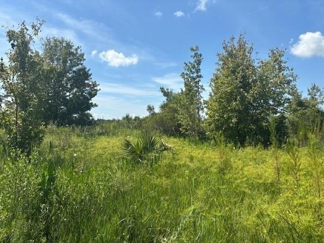 NW 310th St, Okeechobee, FL 34972