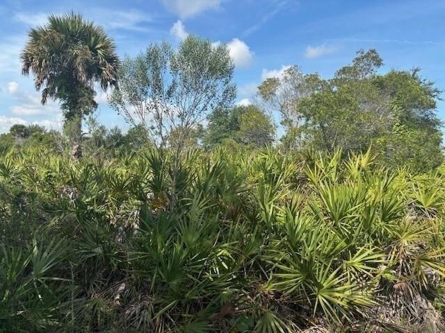 NW 310th St, Okeechobee, FL 34972