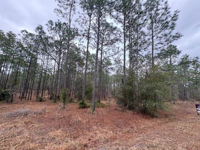 NW Terrapin Dr, Dunnellon, FL 34431 | Compass