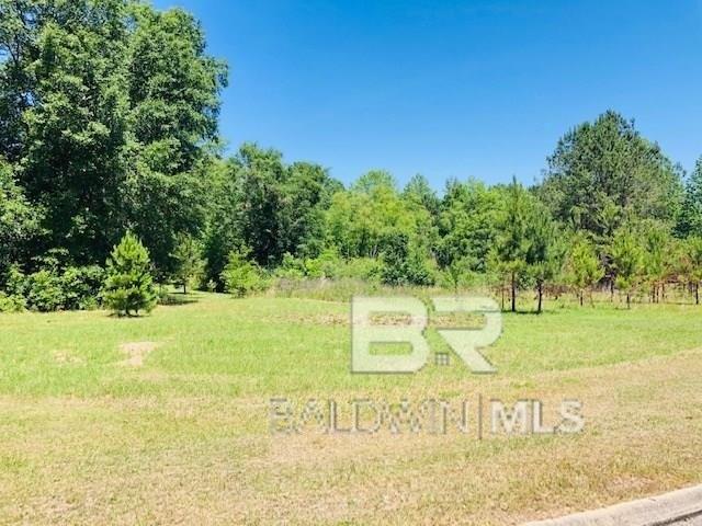 NW Waters Ln, Brewton, AL 36426